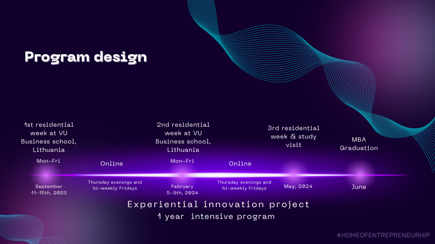 MBA Entrepreneurship & Innovation - VU Business School