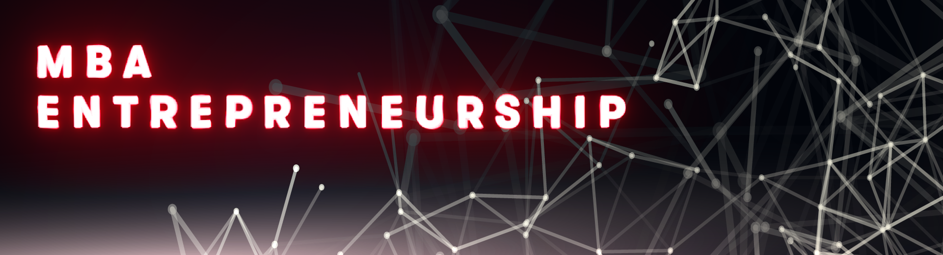 MBA Entrepreneurship - VU Business School